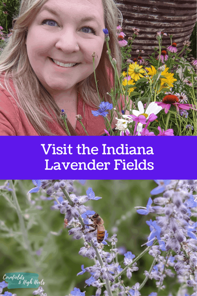 Visit the Indiana Lavender Fields - Cornfields and High Heels