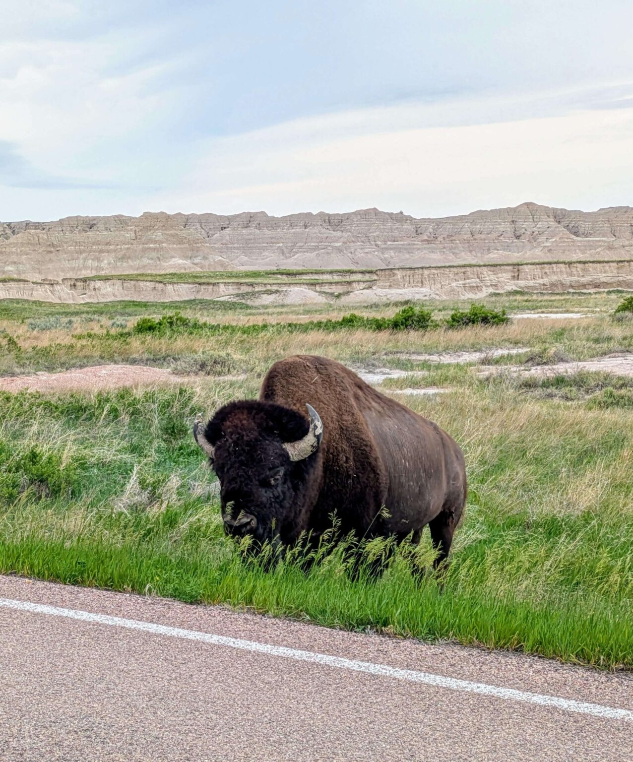 Top 10 Tips for Visiting Badlands National Park in South Dakota - Cornfields and High Heels